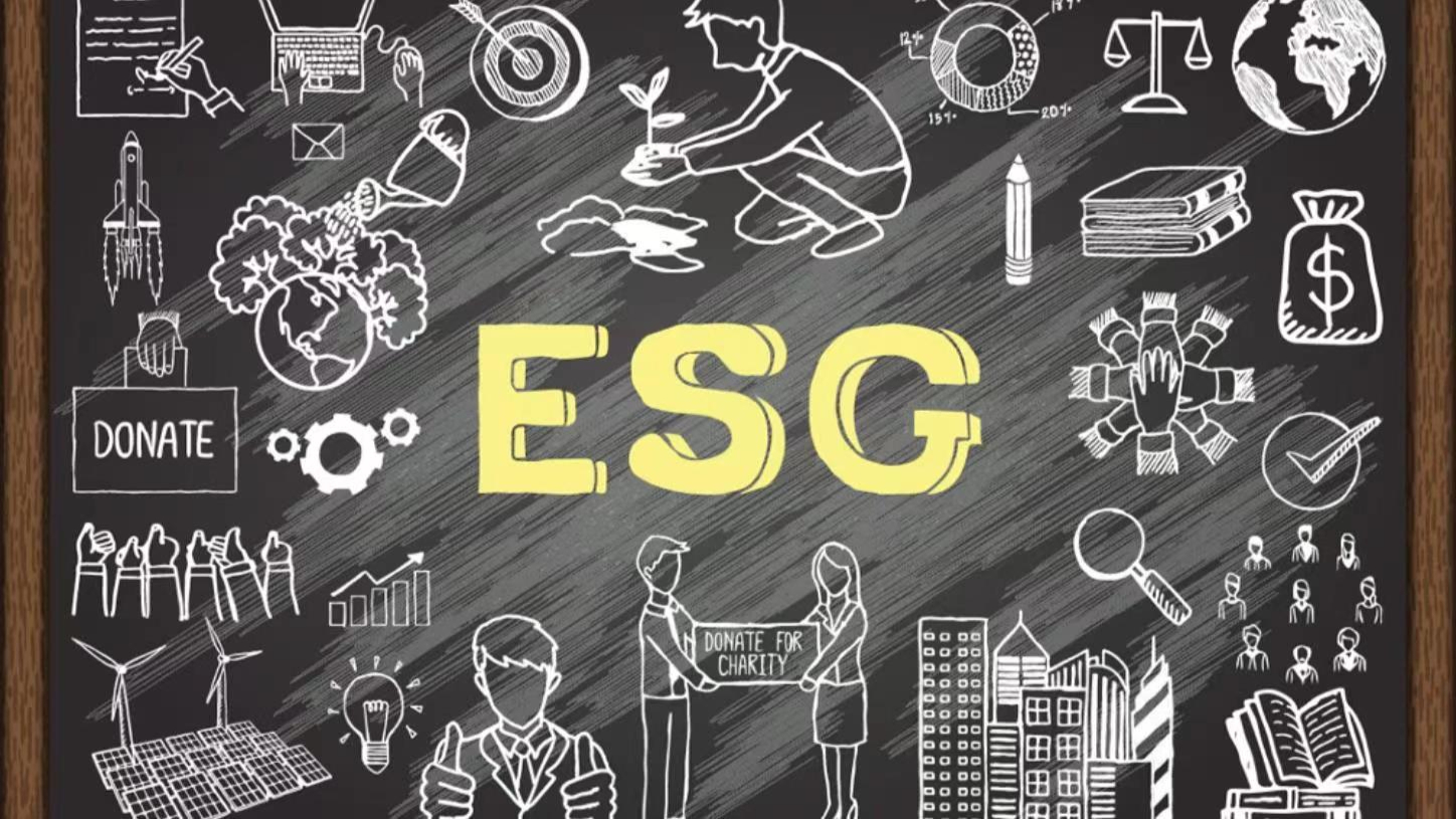 ESG白皮书 | 多元主体参与活跃，中国ESG生态初现雏形 - 经济观察网 － 专业财经新闻网站