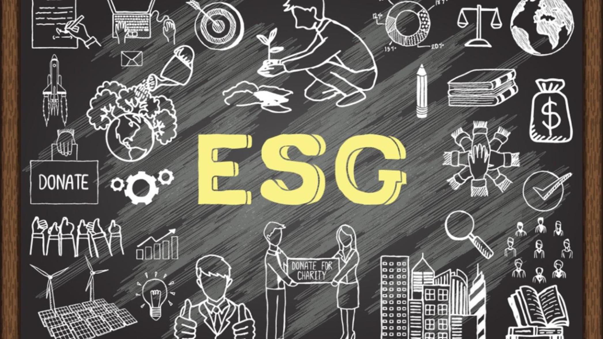 秦朔：践行商业文明的路径，就是将ESG的认知内部化 - 经济观察网 － 专业财经新闻网站