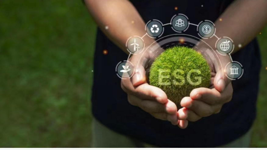 绿色创新与ESG可持续发展大会在深圳召开 - 经济观察网 － 专业财经新闻网站