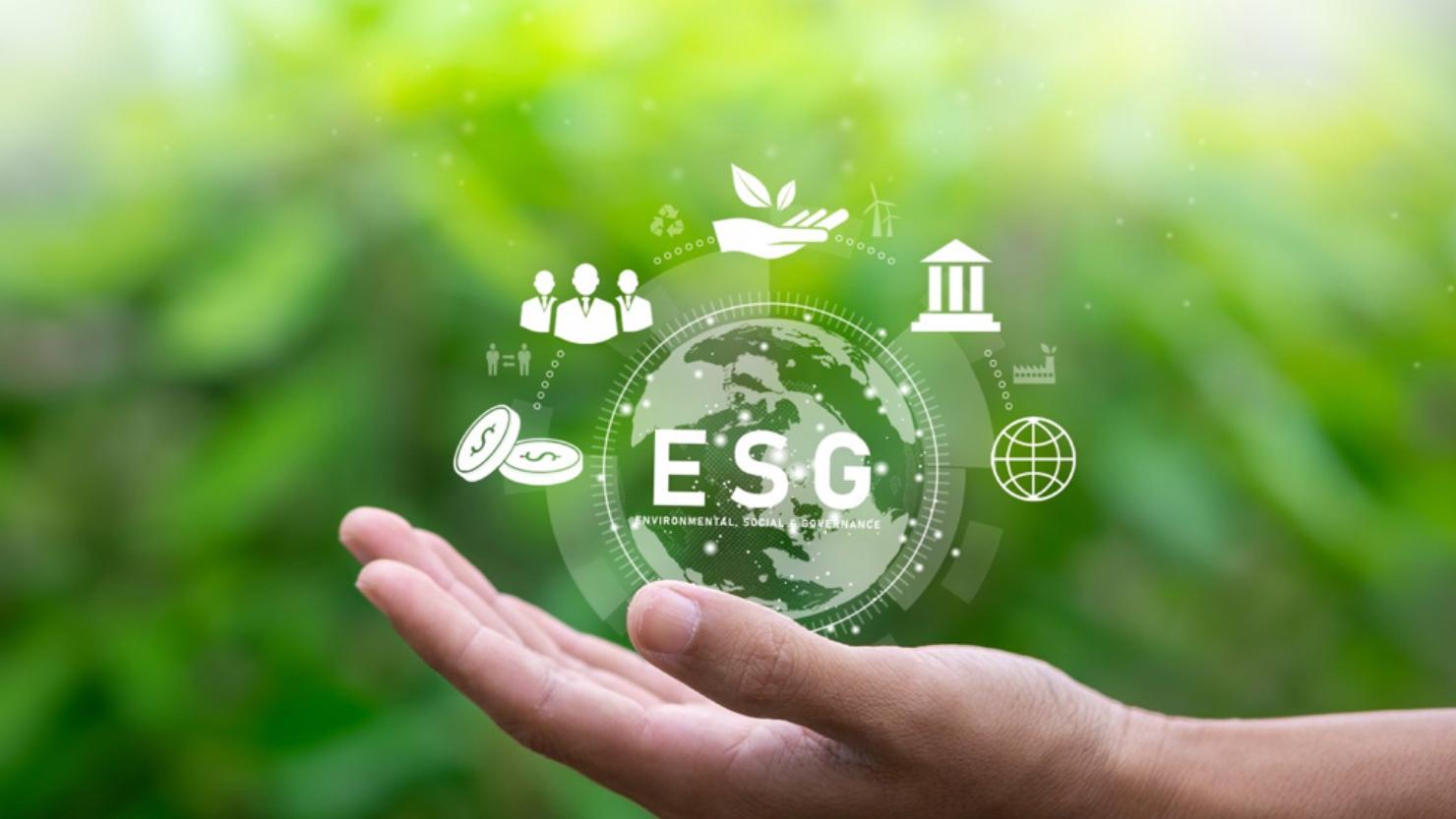Esg白皮书 近一年国内外esg政策有哪些新变化? 经济观察网 - 专业财经新闻网站